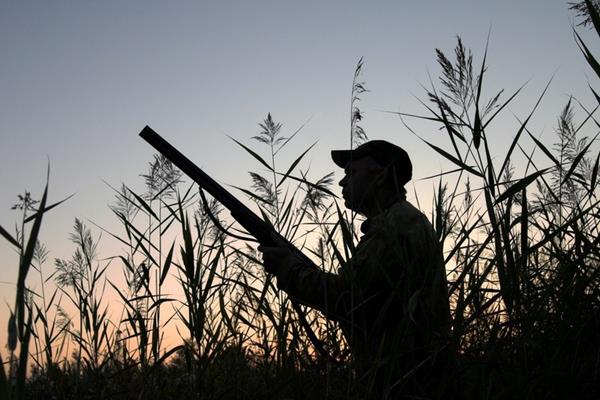 Haute-Savoie : vers une ouverture de la chasse pendant l'été - Radio ...